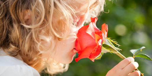 What Are These Strong-Scented Things?