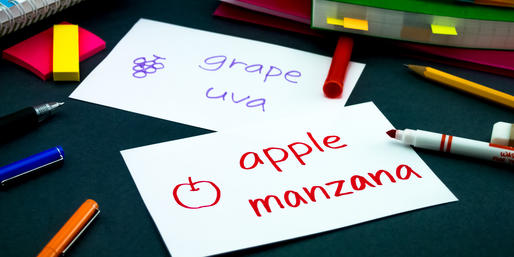 Can You Pass Spanish 101?