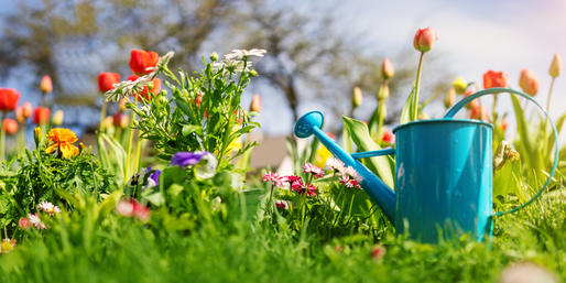 What Are These Things Associated With Spring?