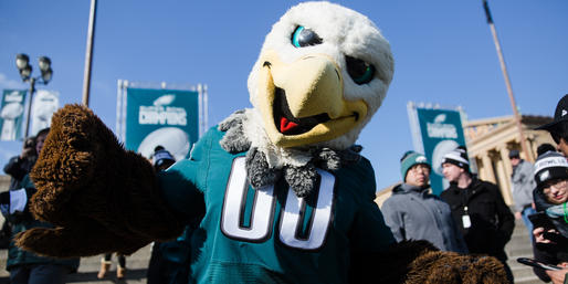 Can You Match The NFL Animal Mascot To Its Team's Location?