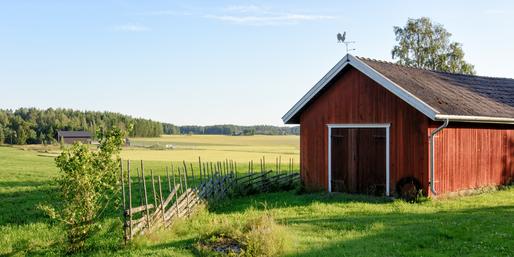 Could You Spend One Whole Day In The Country?