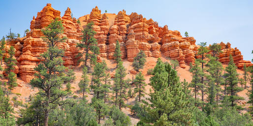 What's This Western State?