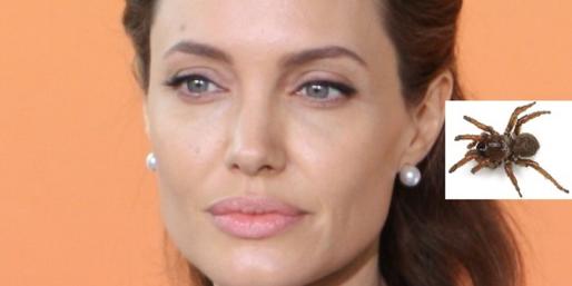 These Stars Have Animals Named After Them. Who Are They?