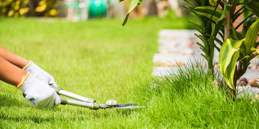 What Are All These Yard Work Tools?