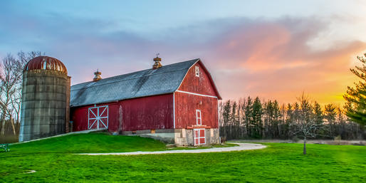 Can You Name These Barnyard Things?