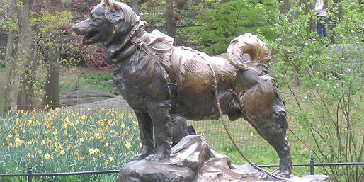 Quiz: Can You Identify These Famous Historic Dogs?