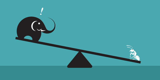 How Much Does This Thing Weigh?