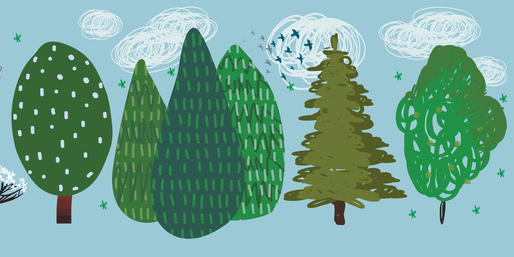 What's That TREE?