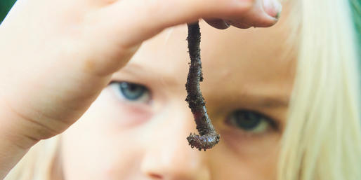 Do You Know These Middle "RTH" Words?