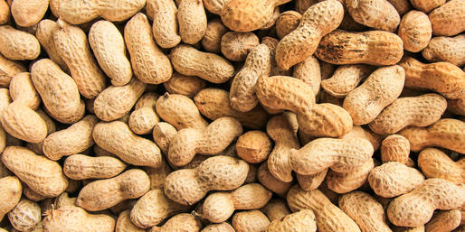 Does This Food Grow Above Or Below Ground?