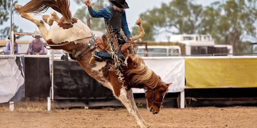 What Are These Rodeo Things?